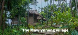 Experience The Magic Of Sustainable Tourism By Visiting Mawlynnong